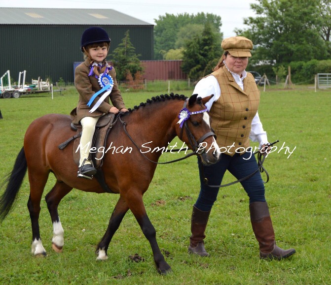Diary | Cherry Tree Farm Riding Academy